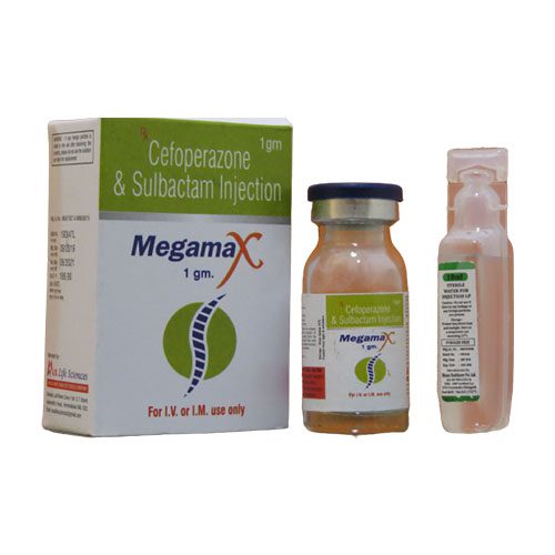 Megamax 1Gm Injection